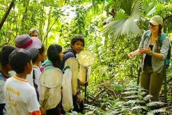What is Field Trip | Definition of Field Trip in Education ...