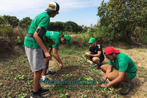 The Reasons Why Educational Field Trips Are Important For Students ...