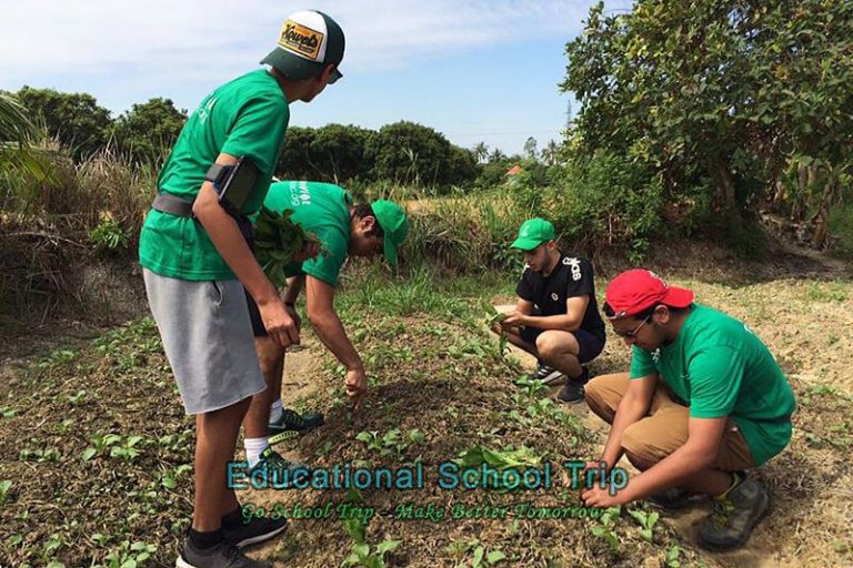 The Reasons Why Educational Field Trips Are Important For Students ...