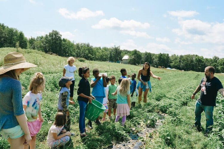 The Benefits of School Trips for Teachers - Educational School Trips