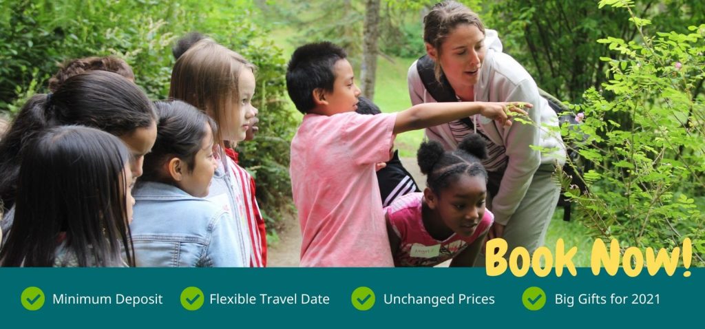 It is Time to Re-plan your Educational School Trips - Educational ...