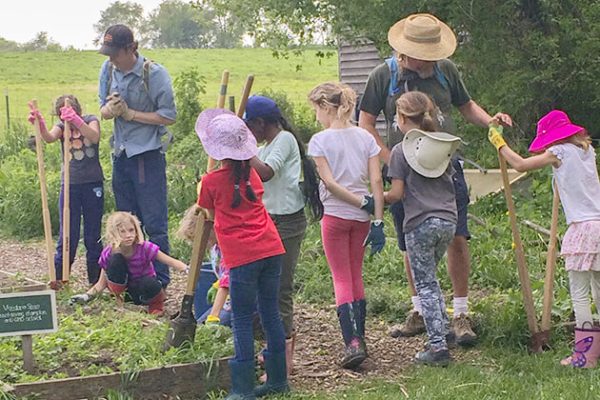 Safety Tips for Successful Field Trips - Educational School Trips